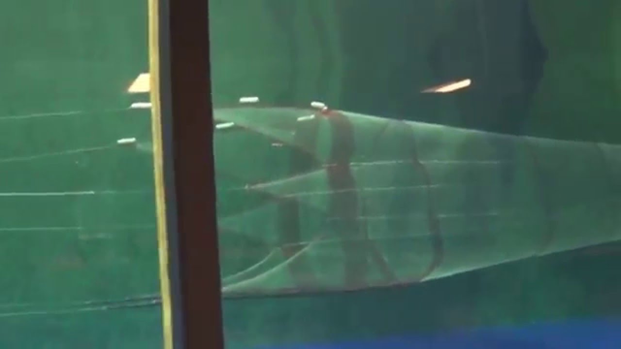trawl in flume tank - YouTube