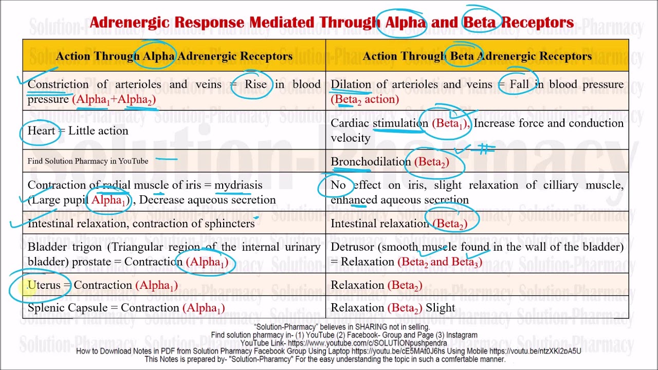 Adrenergic Response Mediated Through Alpha and Beta Receptors | Alfa ...
