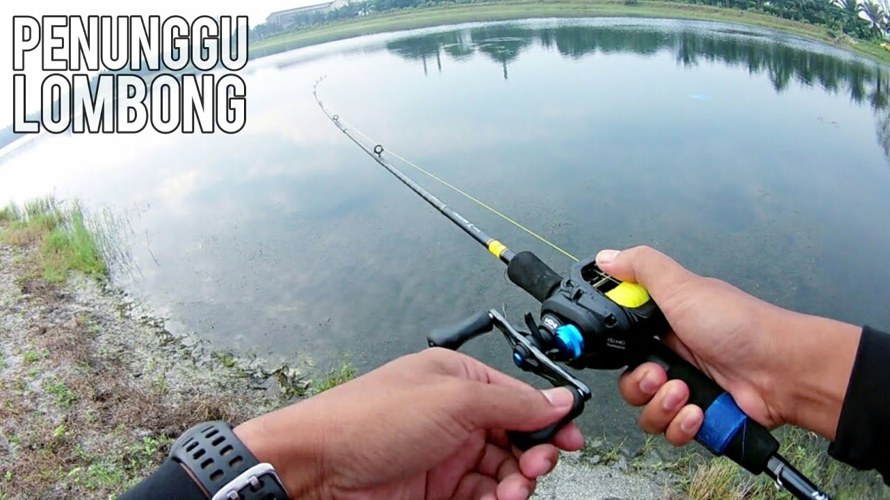Casting Peacock Bassikan Raja Umpan Killer Ni Air Kuning Perak Shimano Slx Vlog62 Youtube