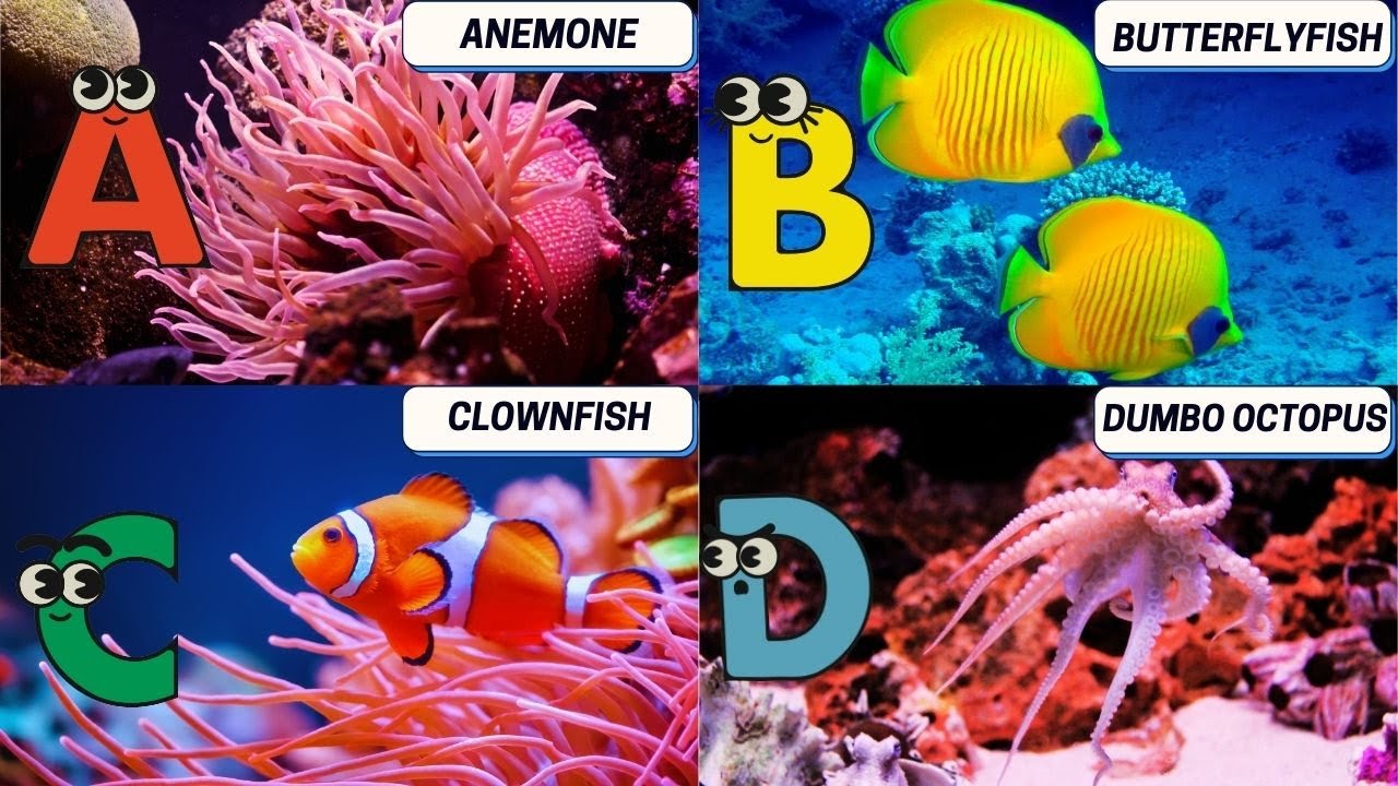 Learn ABC with Sea Animals! 🐙🐬 Fun Alphabet & Phonics Song for Kids | # ...