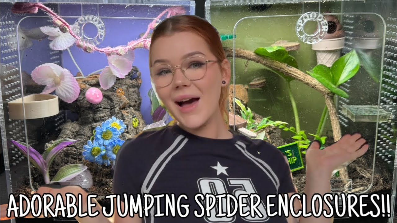 Setting up TWO Jumping Spider enclosures?! - YouTube
