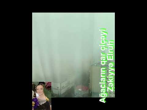 Zəkiyyə Elruh “Ağacların qar çiçəyi”