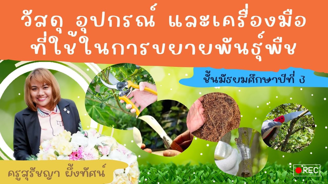 ม.3_วิชาการงานอาชีพ เรื่อง วัสดุ อุปกรณ์ และเครื่องมือที่ใช้ในการขยาย ...