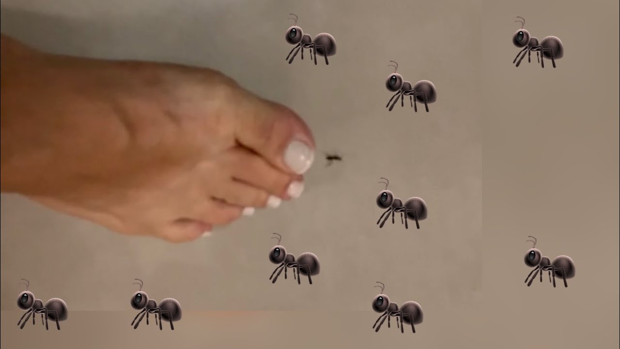 Eu e Maryjane tentando pegar um formiga com os pés 🐜. #gigante - YouTube