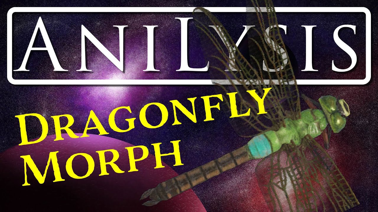 AniLysis #18 | Dragonfly Morph - YouTube