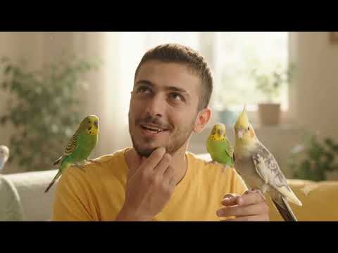 Kuş beyinli 😊