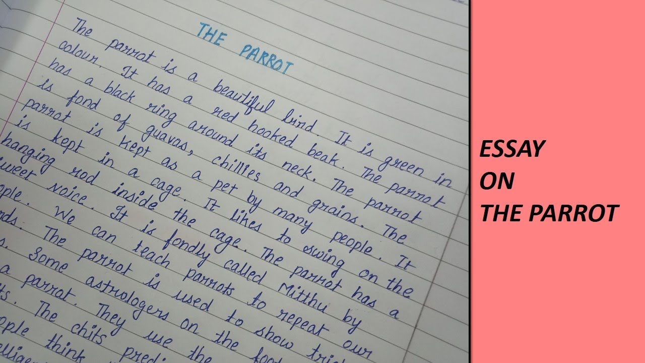 Write an essay on The Parrot in English| Essay writing - YouTube