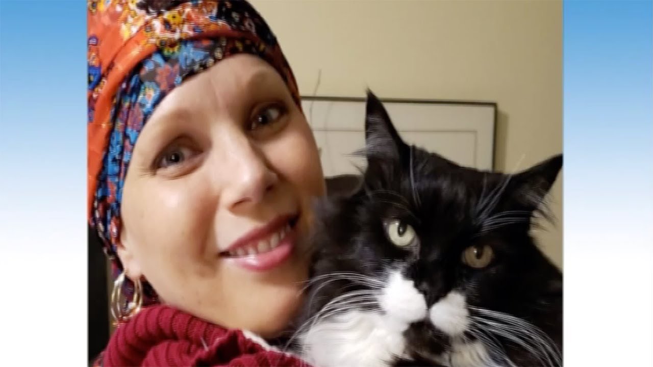 Intuitive, furry friend tips off owner to cancer - YouTube