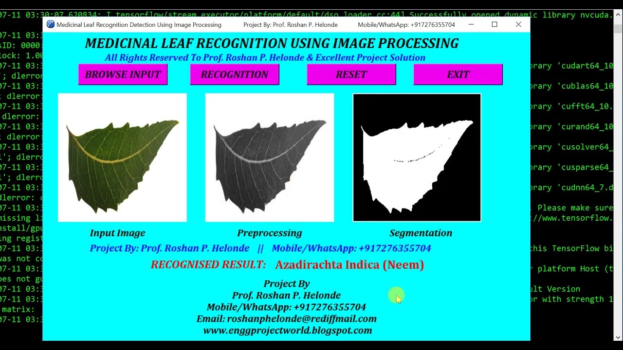 Medicinal Leaf Recognition Using Cnn Image Processing Python Project With Source Code Youtube 2142