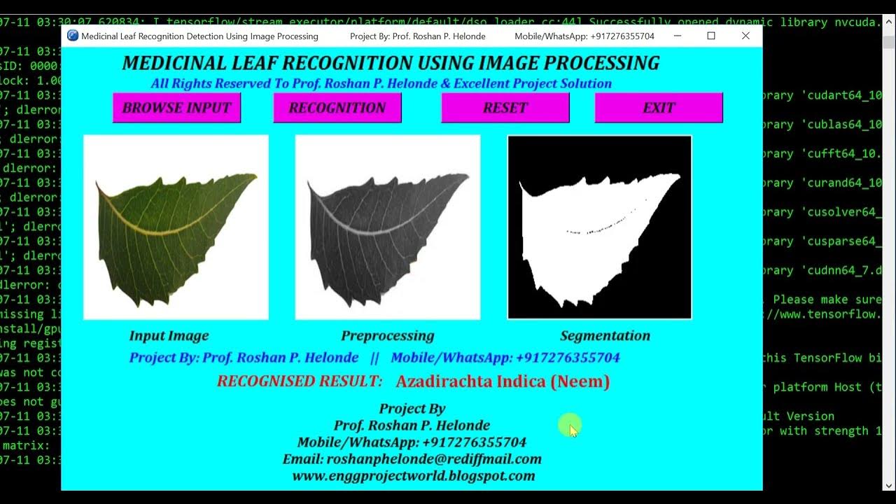 Medicinal Leaf Recognition Using CNN Image Processing Python Project With Source Code - YouTube