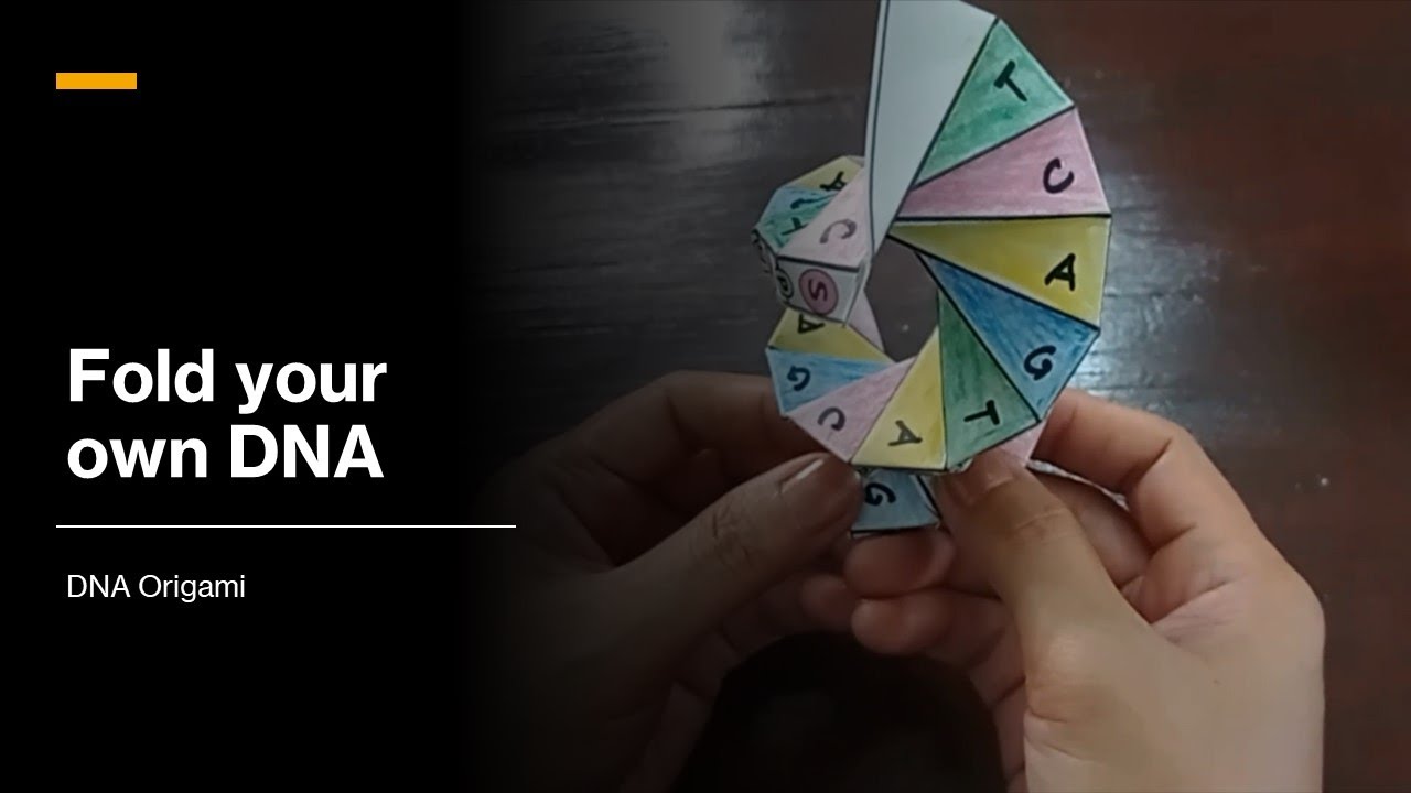 Fold your own DNA (DNA Origami) - YouTube