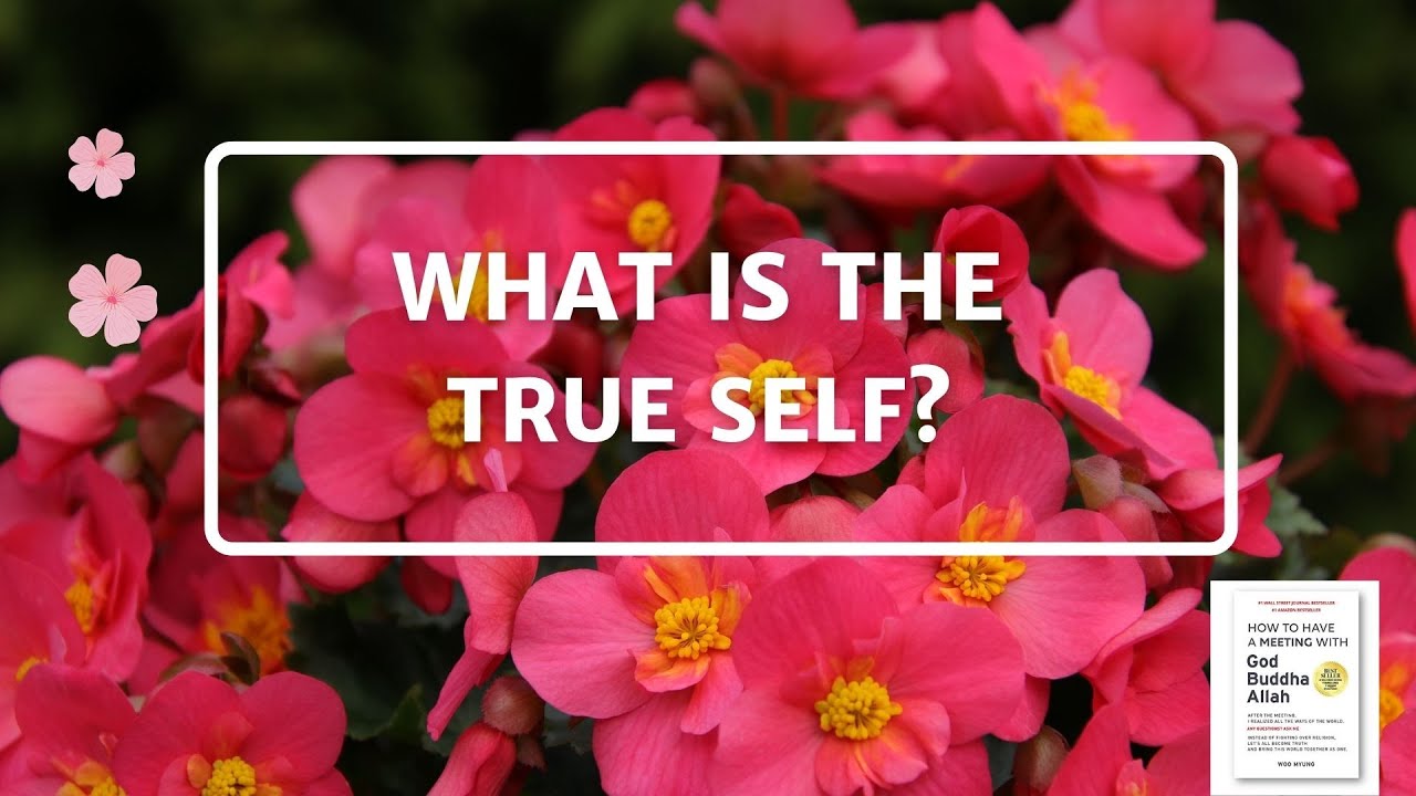 What is the True Self | Enlightenment | Free Online Guided Meditation ...