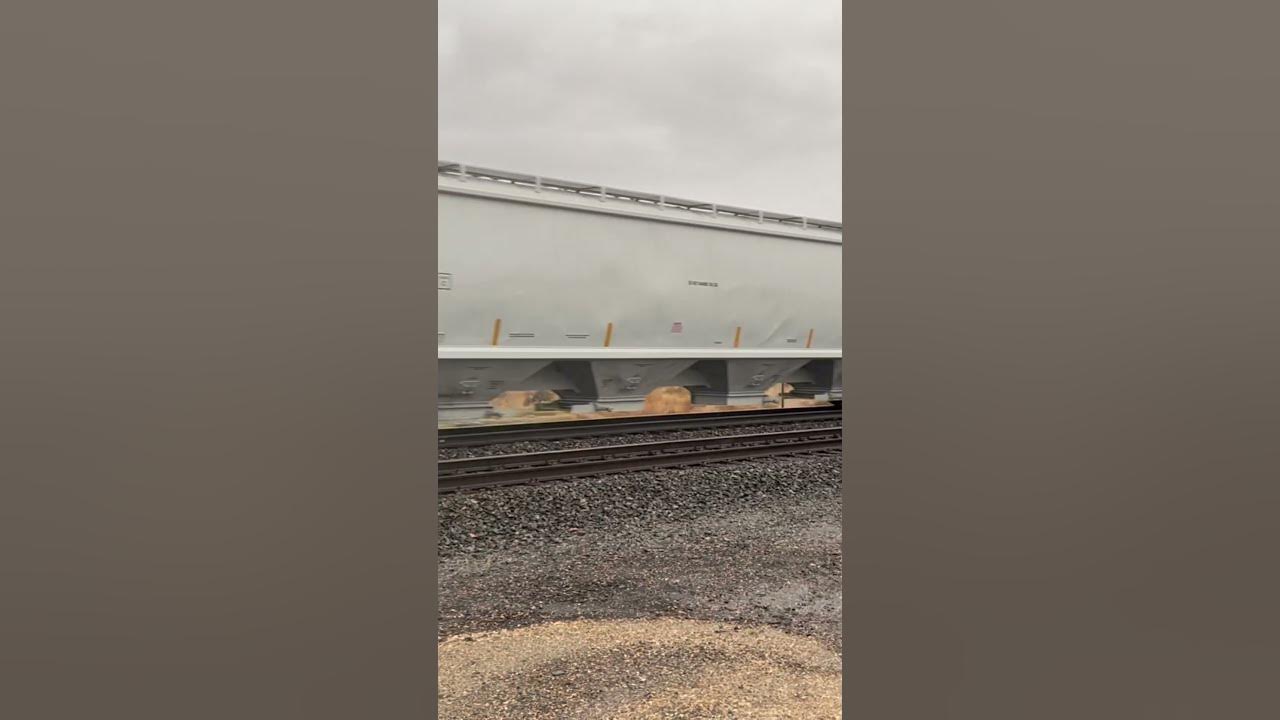 UP 5170 & 4199 On The WB Gooding Local In Nampa, ID. (Full Video Coming Soon) - YouTube