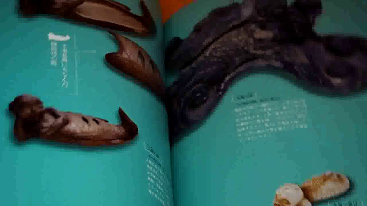 JAPANESE EDO PERIOD CRYPTID BOOK FROM JAPAN YOKAI ONI UMA KAPPA MUMMY ...