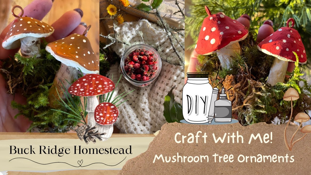 Crafting Air Dry Clay Mushroom Christmas Ornaments | Foraging | Craft ...