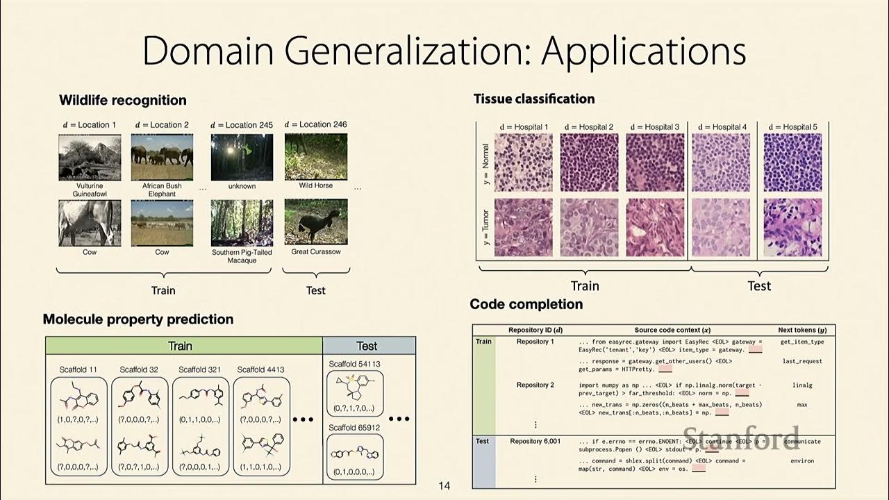 Stanford CS330 Deep Multi-Task & Meta Learning - Domain Generalization l 2022 I Lecture 14 - YouTube