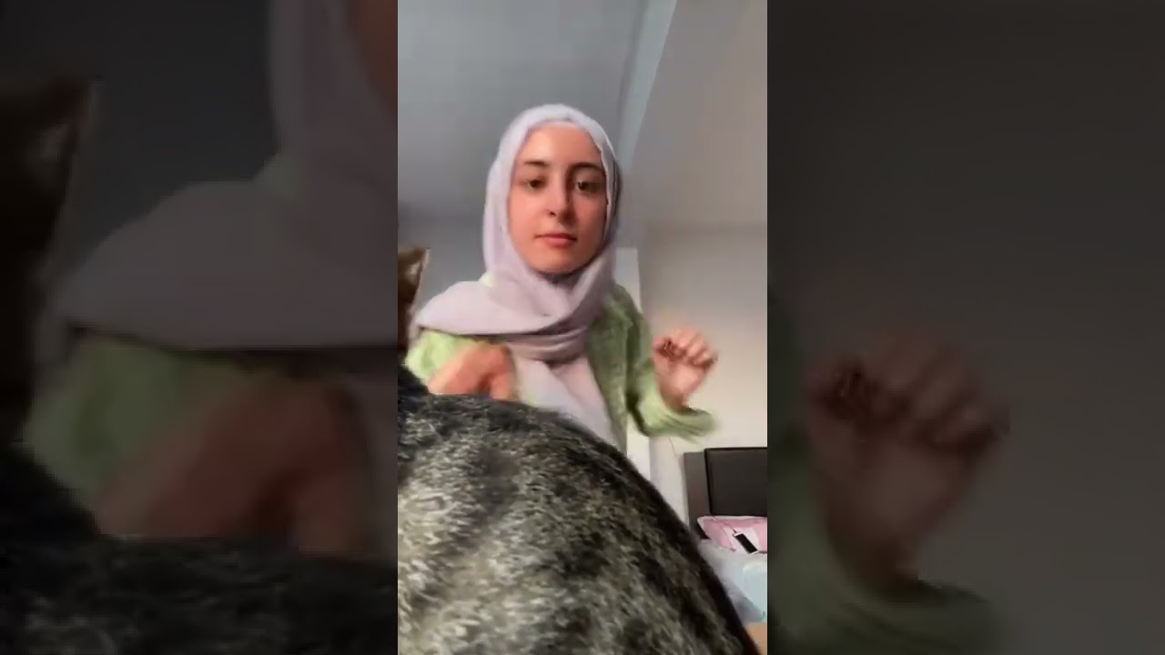 he literally say "aaaa" #catsoftiktok #cats #cat #cute - YouTube