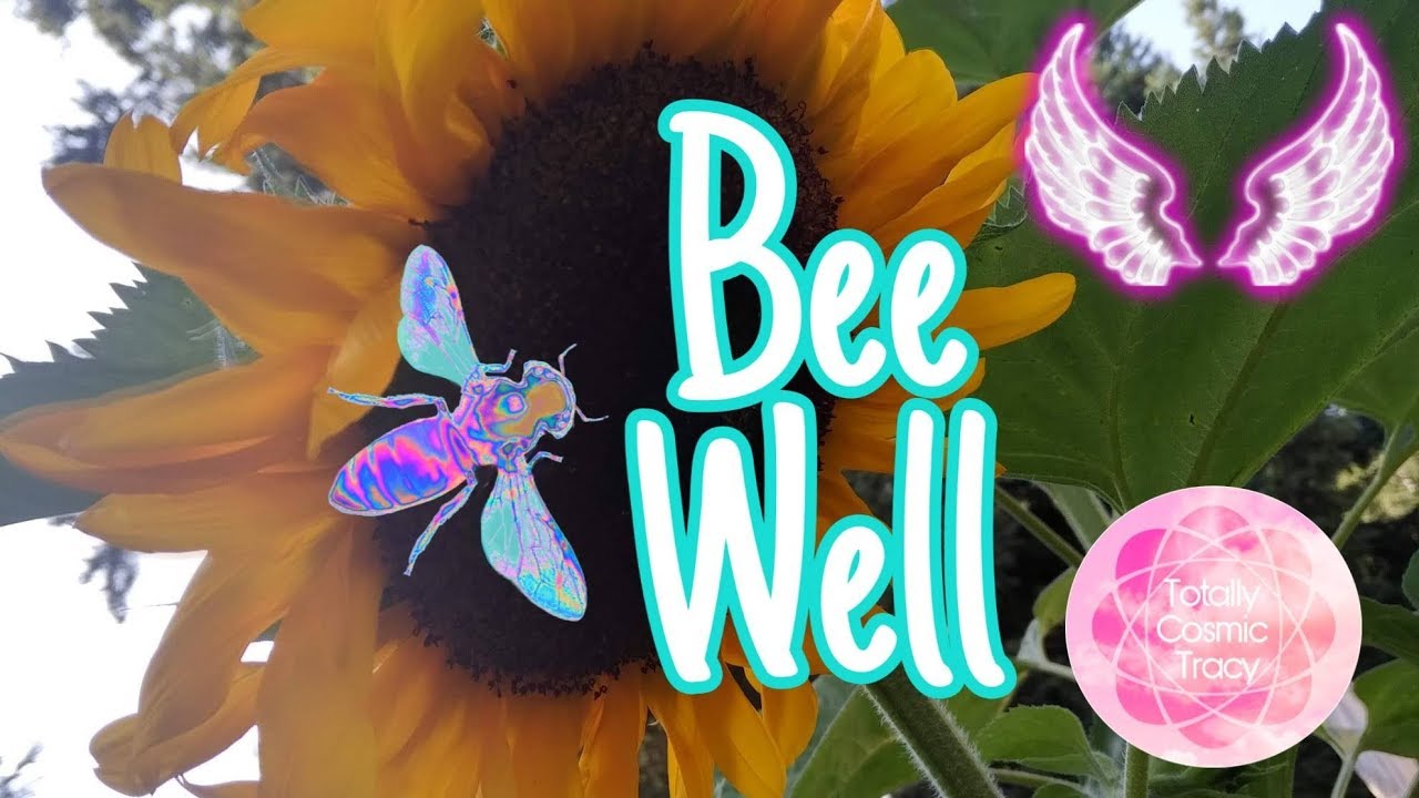 Bee Well 🐝 - YouTube