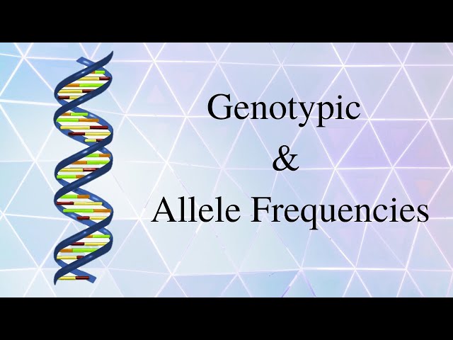 Genotype Frequency Vs Allele Frequency