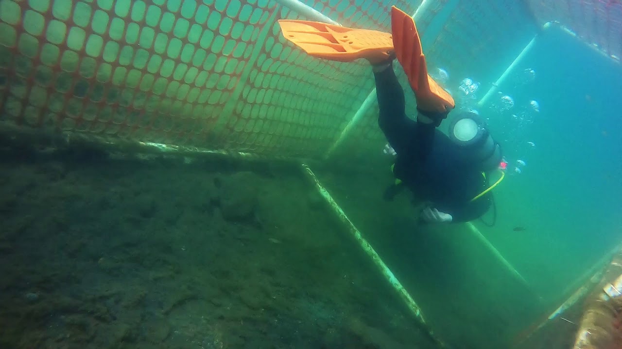 Scuba Diving Lake Phoenix Swim Through - YouTube