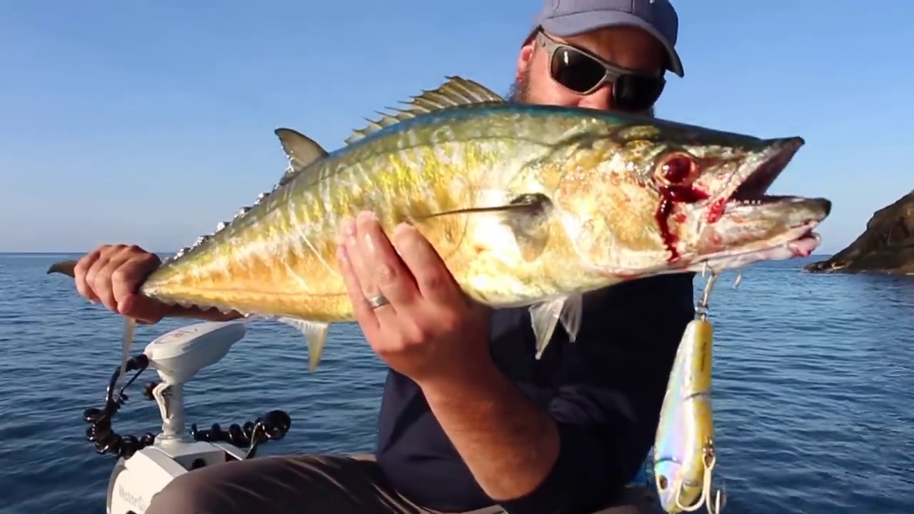 Catching One of The FASTEST Fish In The Ocean - Fishing Islands For BIG ...