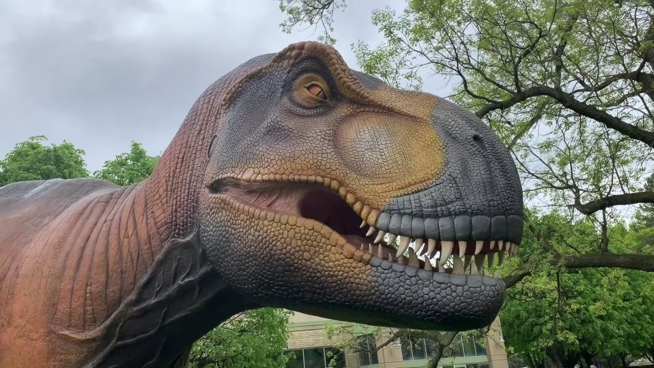 OMG Dinosaurs at The Buffalo Zoo - YouTube