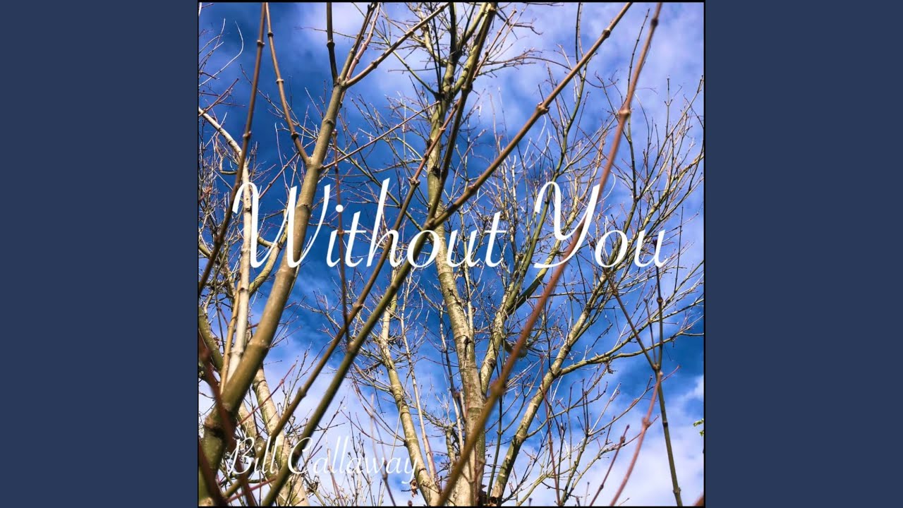 Without You - YouTube