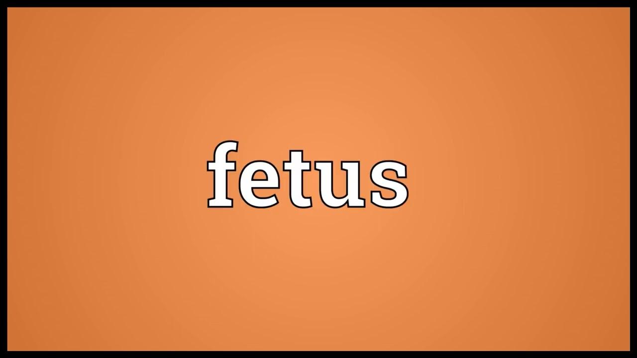 Fetus Meaning YouTube fetus-meaning-youtube