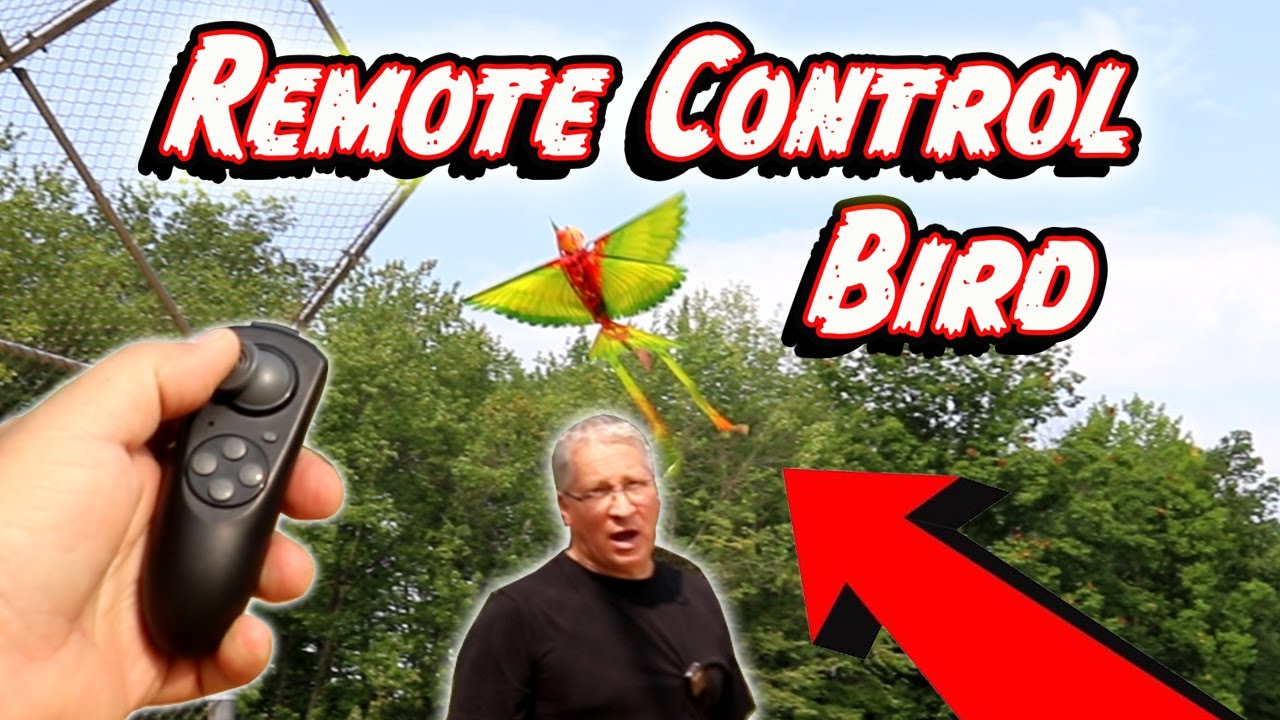 RC Bird - Hanvon Go Go Bird it really flies - Unboxing and test - YouTube