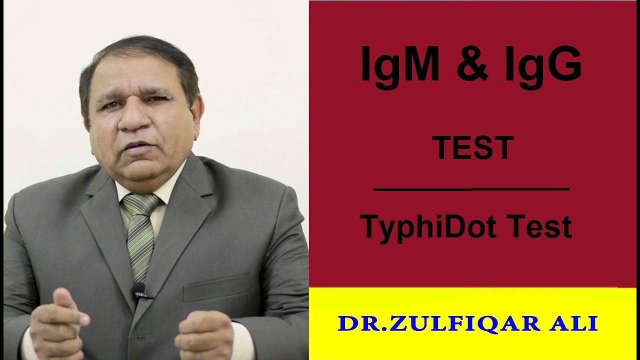 IgM - IgG Test | Typhidot | Causes | | Treatment - YouTube