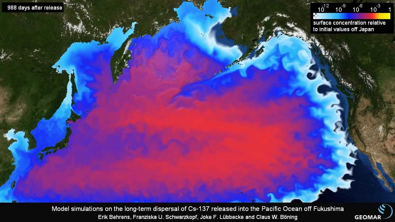 Distribution Of The Radioactive Contamination In The Pacific Ocean From
