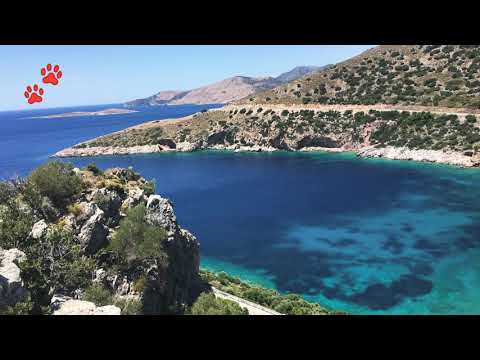 Huzur veren görüntüler 2 ❤