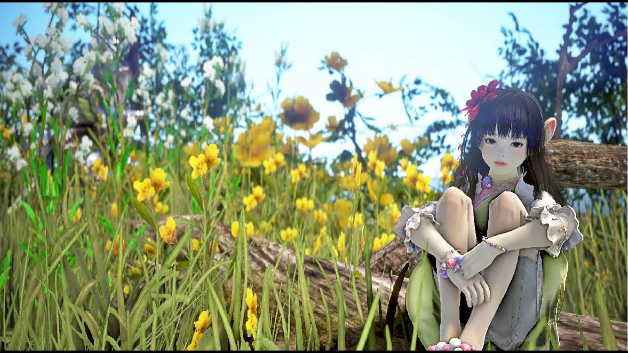 검은사막 전승 미스틱 필드쟁 PVP / BDO SUC Mystic Field War PVP #28 (Feat. DESTROYER ...