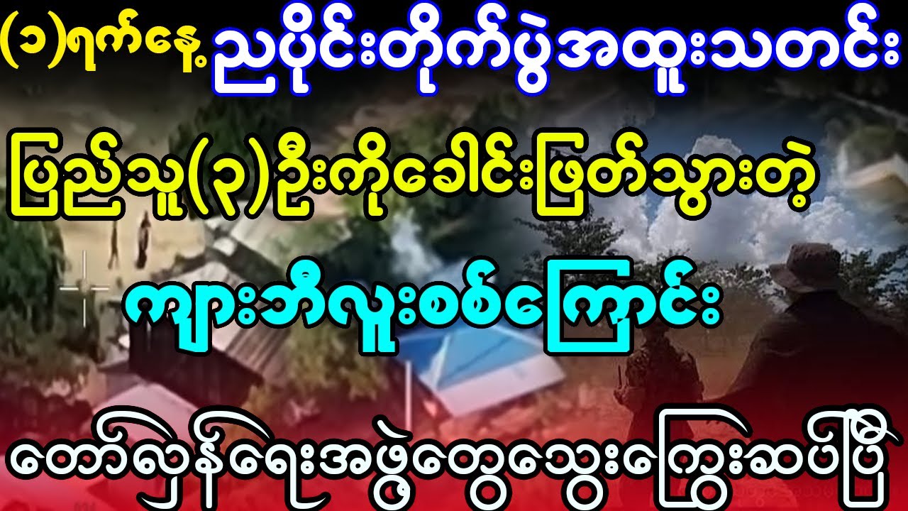 ပုလဲမြို့နယ်၊‌ ညောင်ကုန်းရွာကို ဝင်ရောက်ခဲ့တဲ့ ကျားဘီးလူးစစ်ကြောင်း