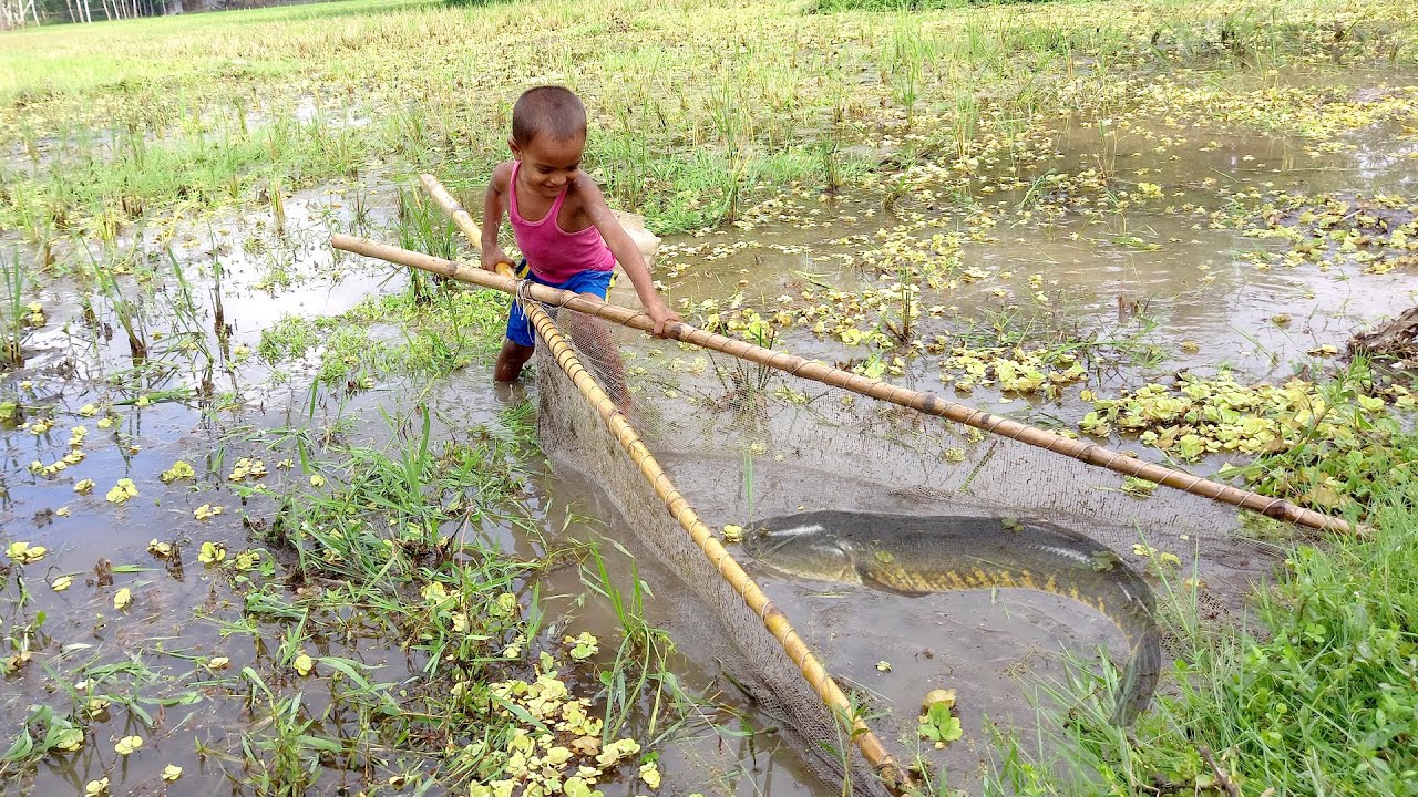 Wow!! Very Nice, Amazing Best Competition Fish ,Catching Awesome Real ...