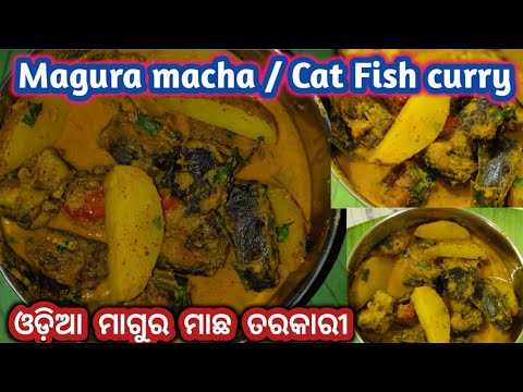 Odia Magura macha jholo | ଆମ୍ବୁଲ ଦିଆ ମାଗୁର ମାଛ | Husband bura maan gaye ...