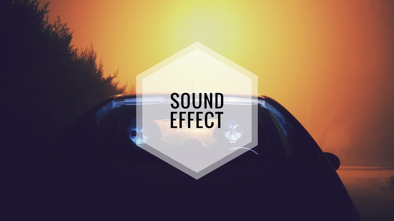 Alien Bug Chirping 1 ( No Copyright Sound Effects ) - YouTube
