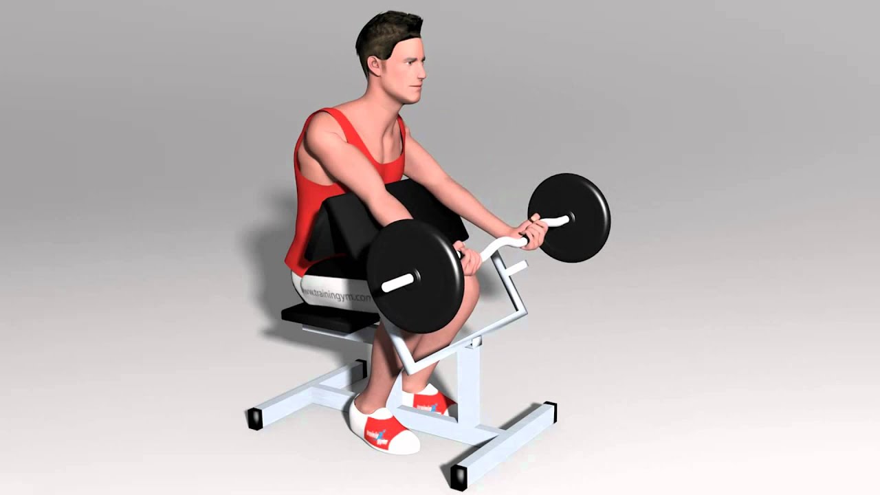 Curl de bíceps banco scott barra "EZ" - YouTube