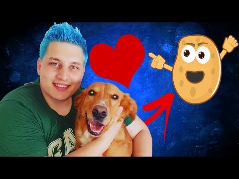 Yeter La! Hep Top Lane mi Gank Yiyecek? | Levo Maç Özetleri |