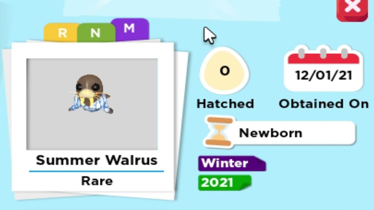 Neon & Mega Neon Summer Walrus Adopt me - YouTube