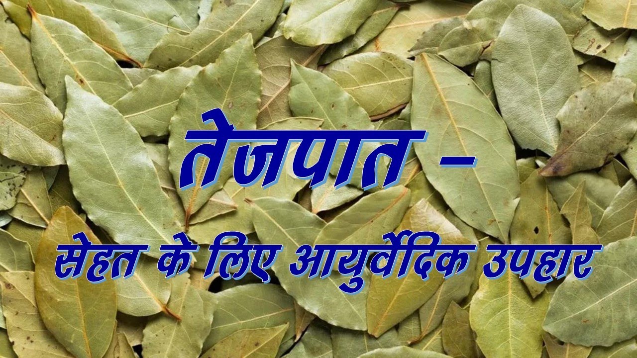 तेजपात - सेहत के लिए प्रकृति का उपहार (Tejpat - Nature's gift for human ...