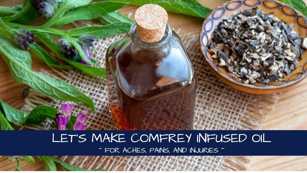 Let's Make Comfrey Infused Oil | The Quick Method - YouTube