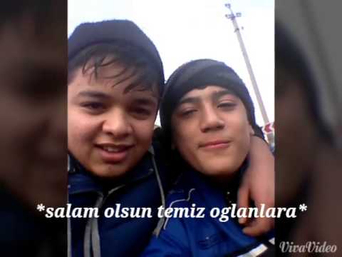 Gence usaqlari