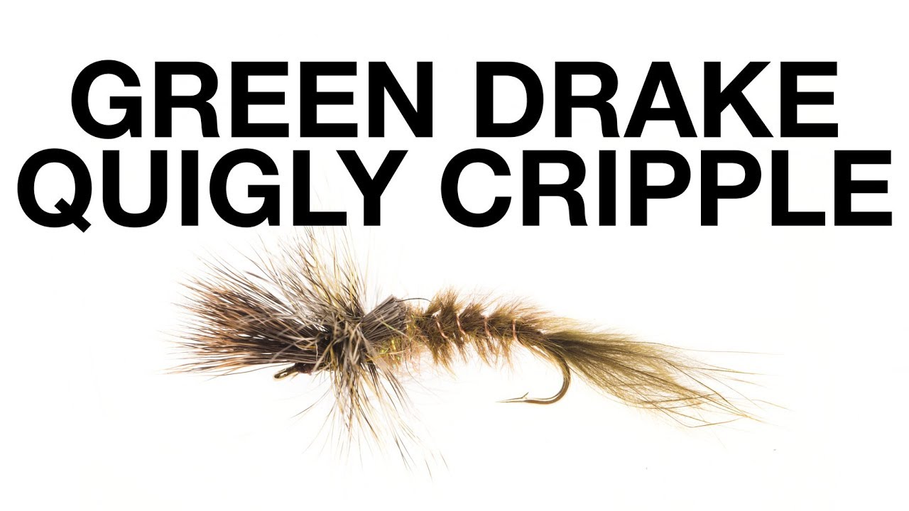 Green Drake Quigly Cripple - YouTube