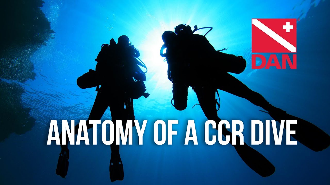 RF3.0 - Anatomy of a CCR Dive - YouTube