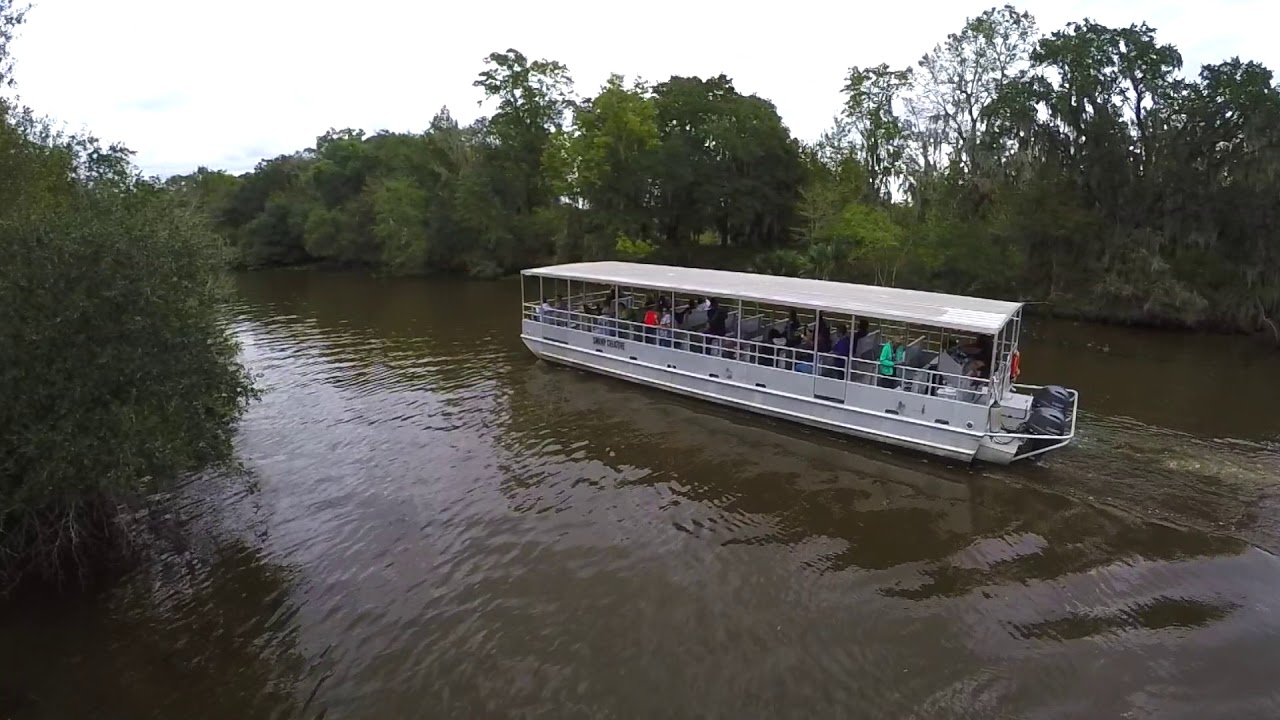 Pontoon Boat Swamp Tour - YouTube