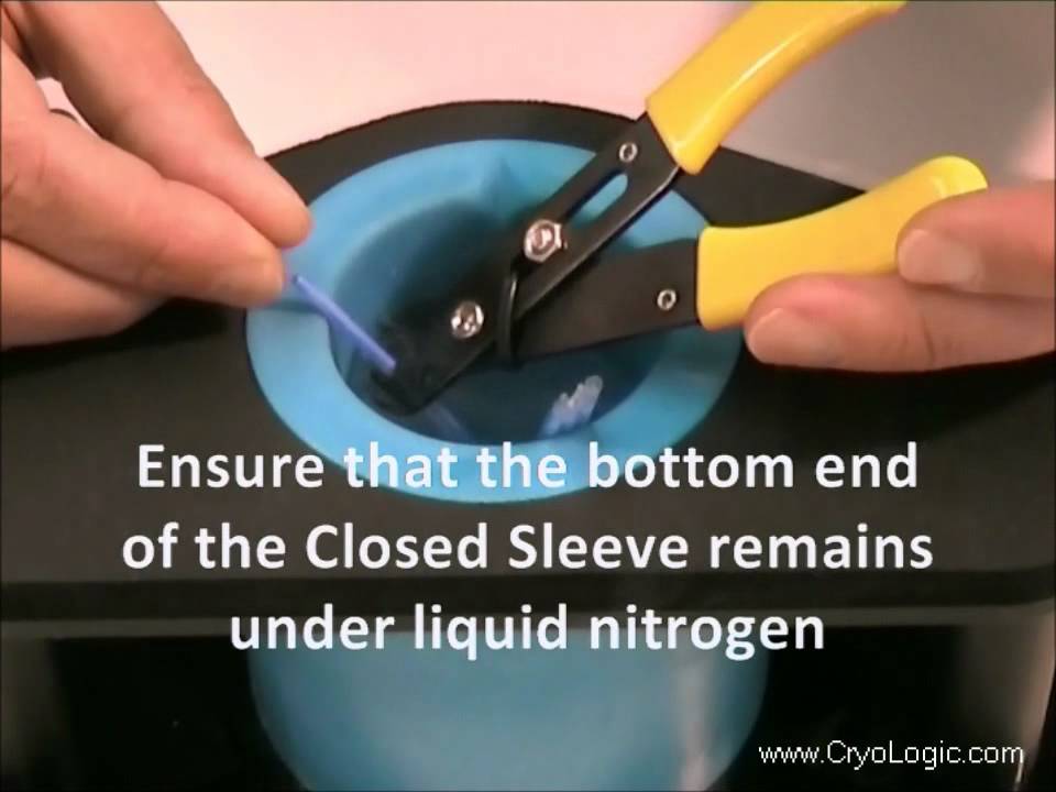 CryoLogic CVM 6 WARMING (Embryo Vitrification) - YouTube