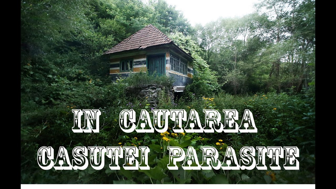 IN CAUTAREA unei CASE PARASITE in MUNTII HUNEDOAREI - YouTube