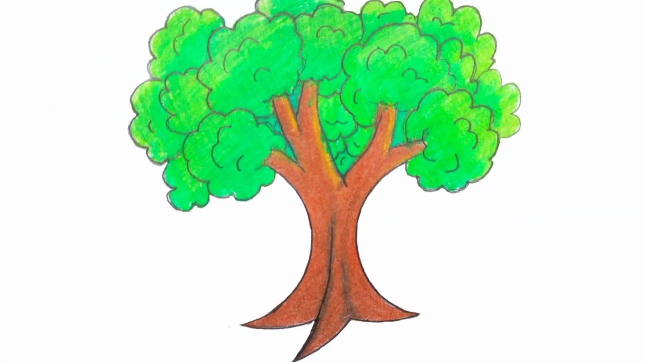 গাছ আঁকা | Tree drawing for kids step by step | গাছ ড্রয়িং | Tree ...