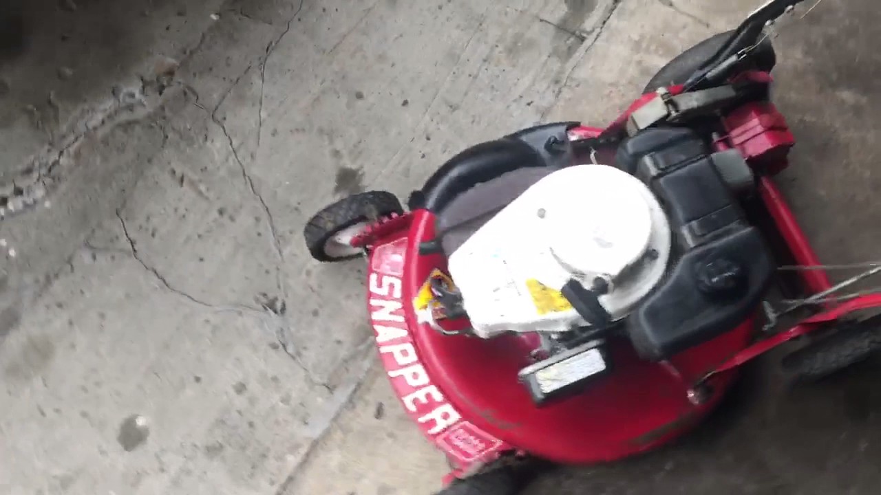 Snapper with a Robin Wisconsin - YouTube